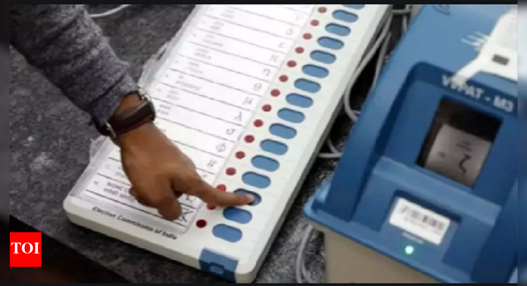 Goa: 89% voter turnout for 3 village panchayats in Pernem taluka | Goa ...
