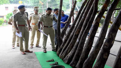Andhra Pradesh: Task force and YSR district police seize 1.3 tonnes of ...