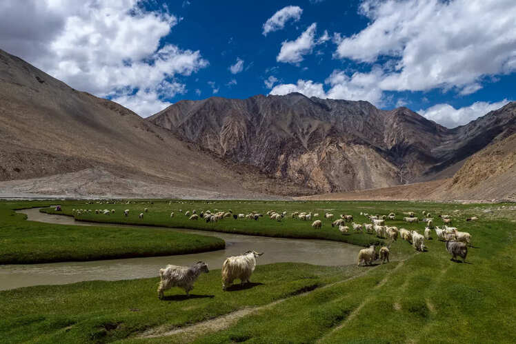 Hot springs in India worth travelling for | Times of India Travel