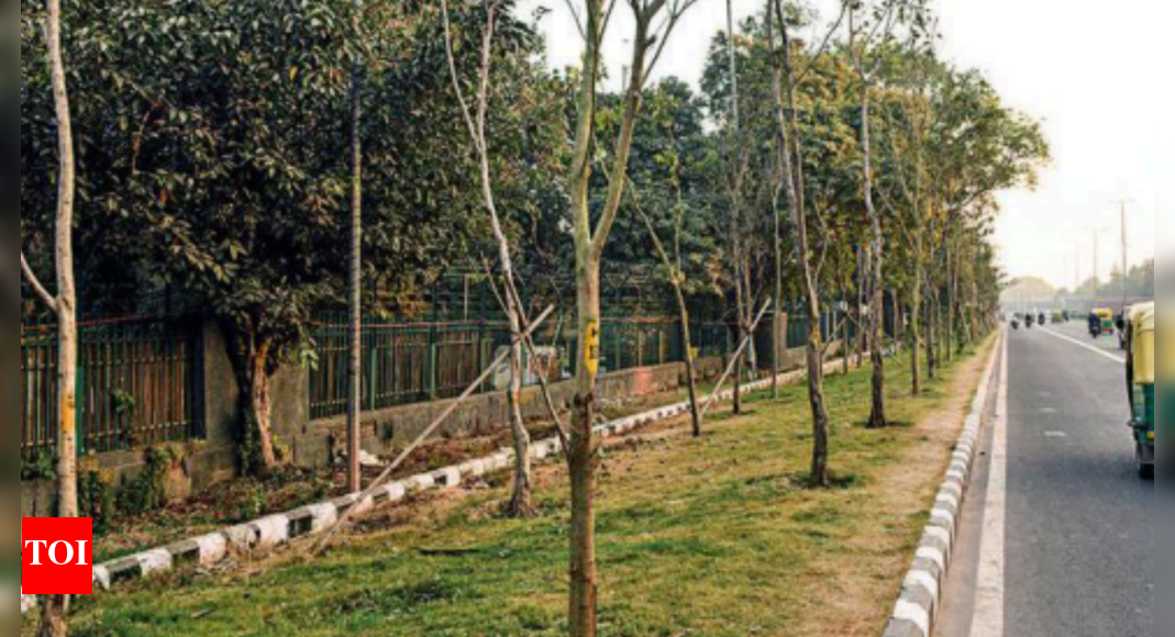 PWD working on biodiversity zones around Supreme Court | Delhi News ...