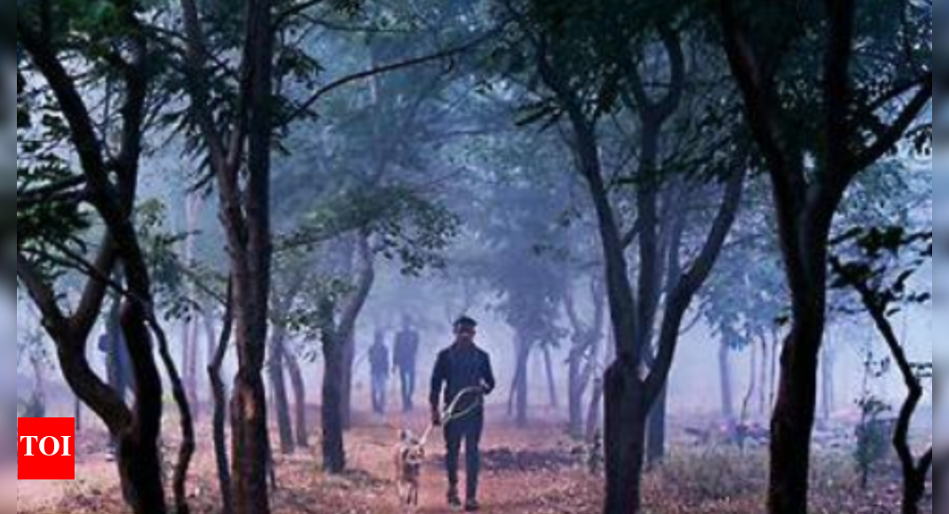 Minimum temperature dives 9°C over 4 days in another wild fluctuation ...