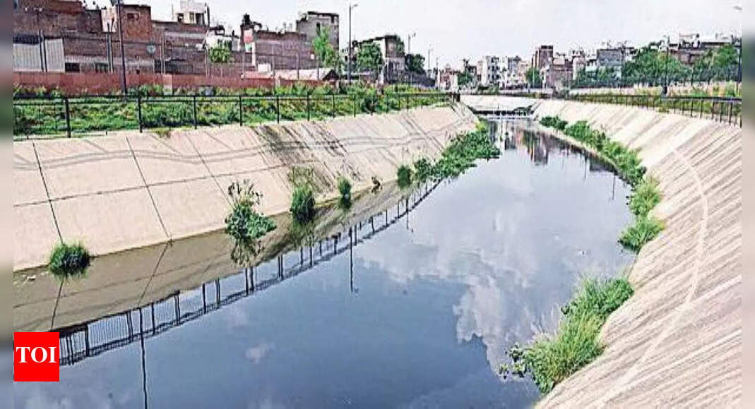 Jaipur Development Authority: Dravyavati River Project stink to go in ...