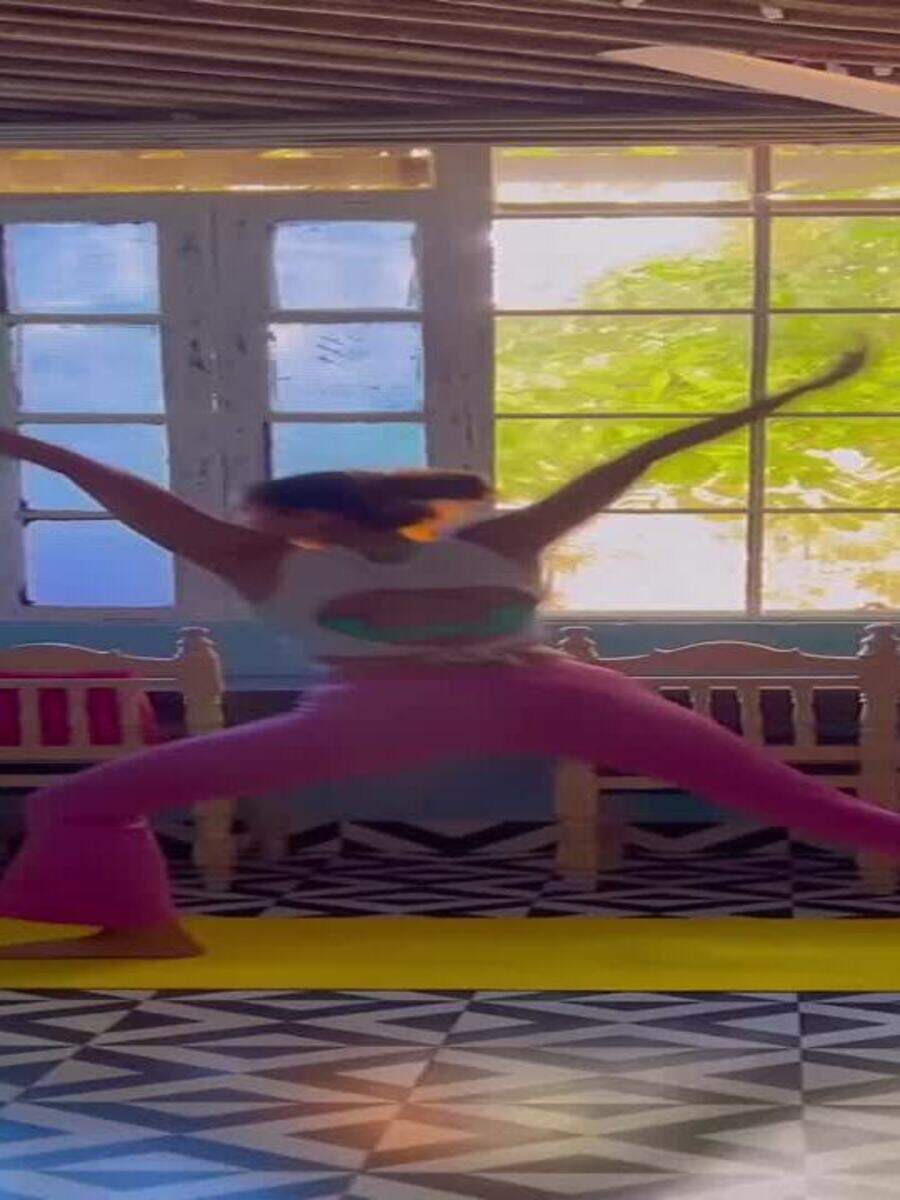From Alia Bhatt to Sonnalli Seygall, celebs who ace Virabhadrasana ...