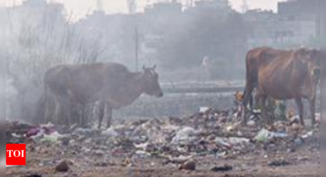 Aqi: Patna's AQI worsens with fall in mercury | Patna News - Times of India