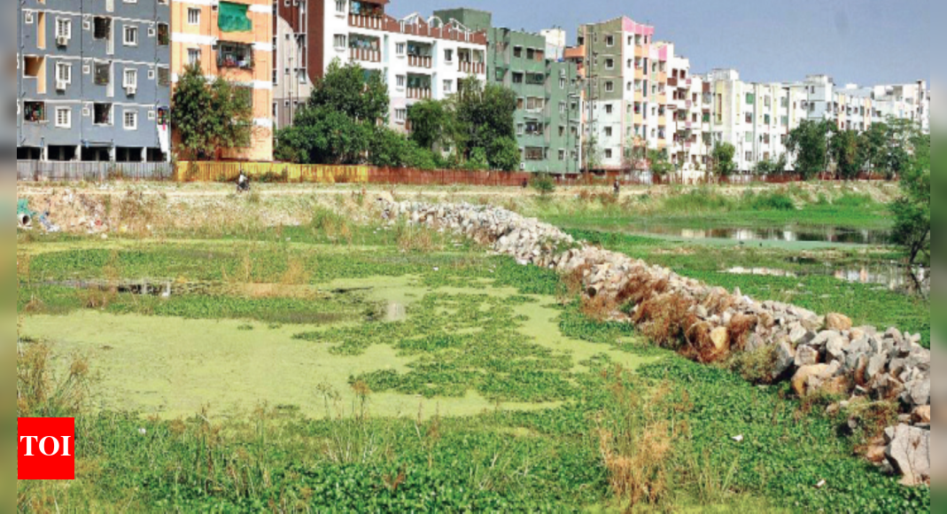 Pragathi Nagar Lake: Encroachers, effluents swallow over 70 acres of ...