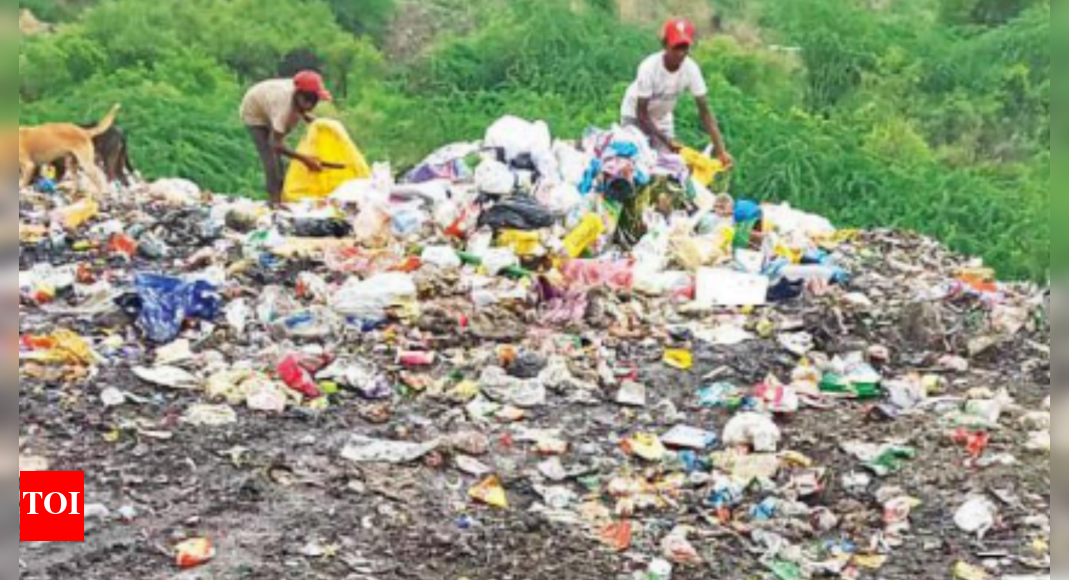 3 plot owners in Meerut fined Rs 75 lakh for dumping & burning waste ...