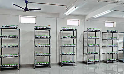 Kfri: Kfri To Set Up Unique Seed Museum | Kochi News - Times of India