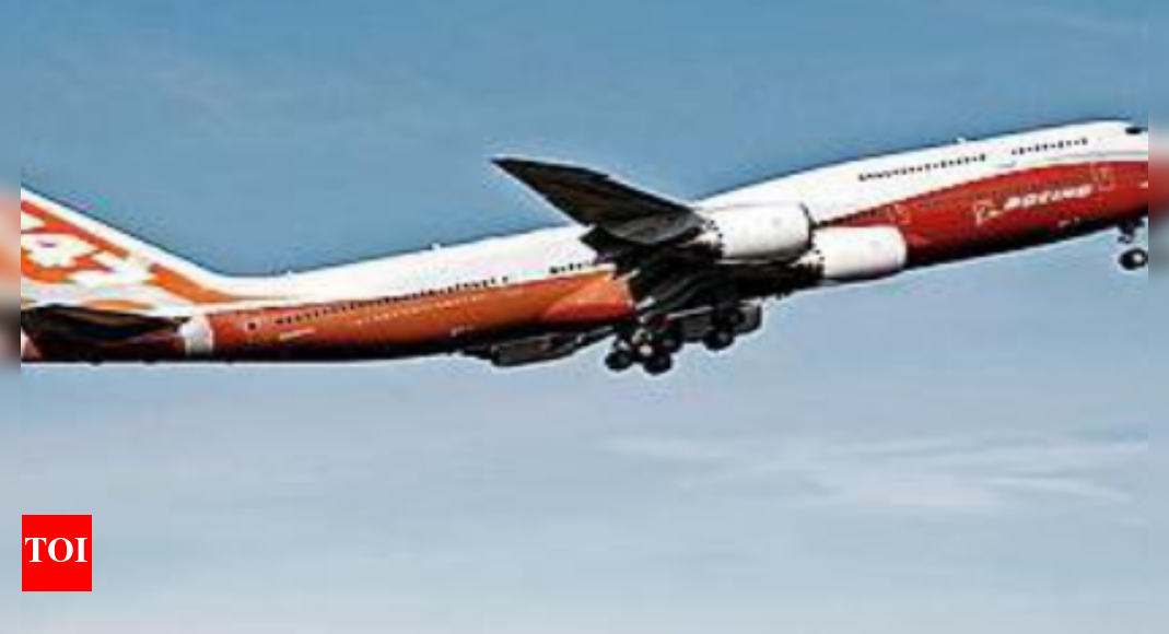 Snake found in AI Express flight cargo | Goa News - Times of India