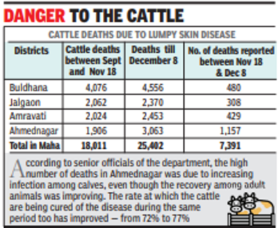 Cattle death toll due to lumpy skin disease rises 61% in Ahmednagar ...