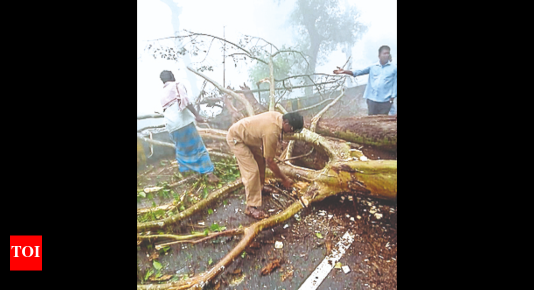 Yercaud: Yercaud Receives 98mm Of Rainfall | Salem News - Times of India