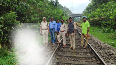 Sambar deer dies after being hit by train in Karnataka's Udupi ...