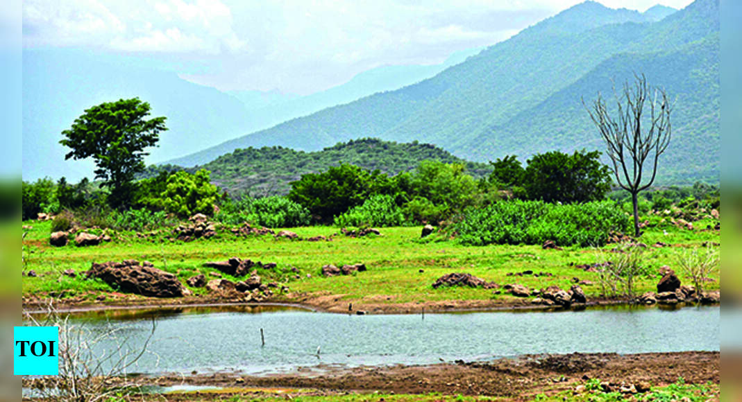 Deemed: Deemed Forest: Ex-minister Says Govt Misleading People ...