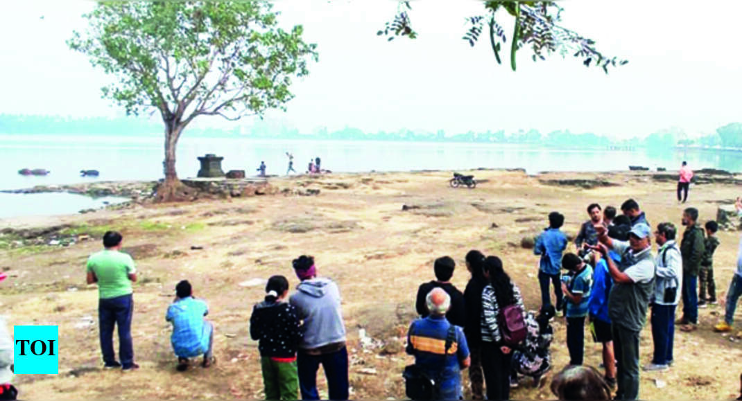 Rankala: Extended Monsoon Delays Arrival Of Many Migratory Birds At ...