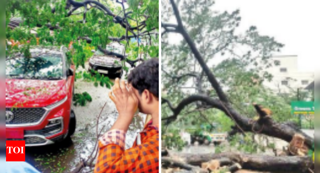 Anna Nagar: Two Trapped In Suv Stuck Under Fallen Tree Rescued ...
