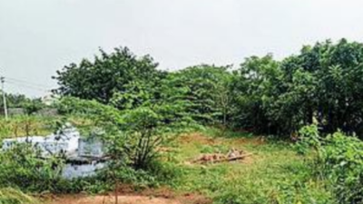 Annur: Common burial ground: Land parcel granted near Annur ...