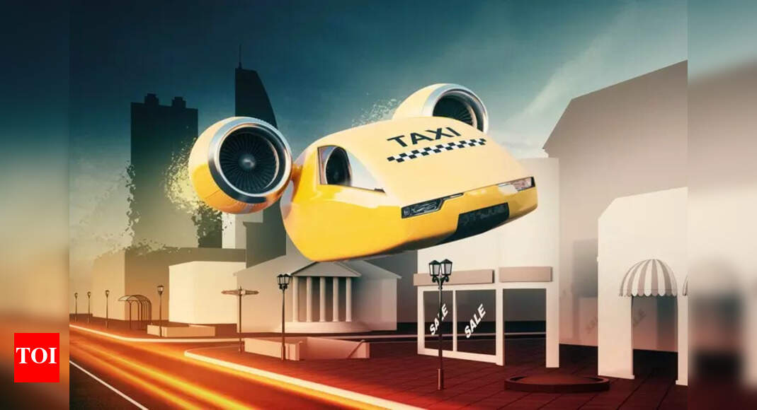 Bumble Bee Flights raises Rs 300 crore to set up air taxi assembly ...