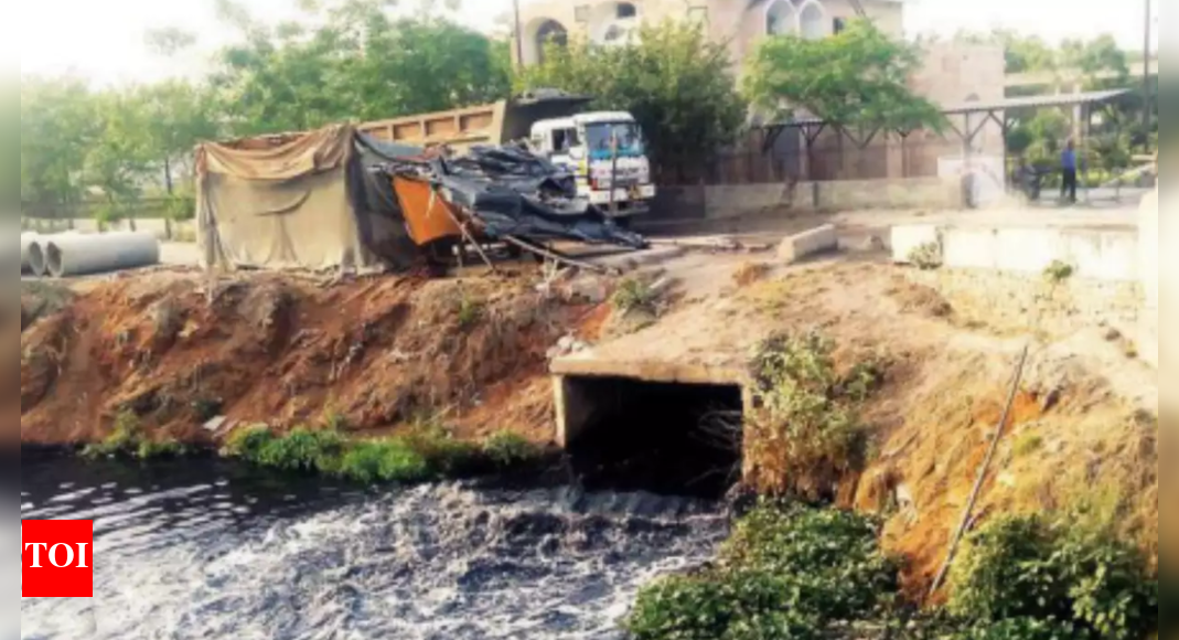 Ludhiana: Demarcation around Buddha Nullah to complete within a week ...