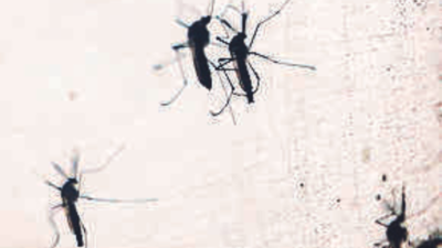 Karnataka: Zika patient had to share bed with other kids, says father ...