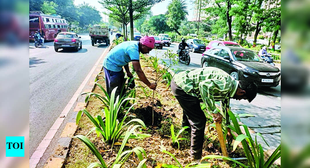Nri, Global Investors Summit To Be Carbon Neutral Events | Indore News ...