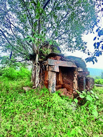 Vijayawada: Peepal Tree Poses Threat To 14th Century Temple ...
