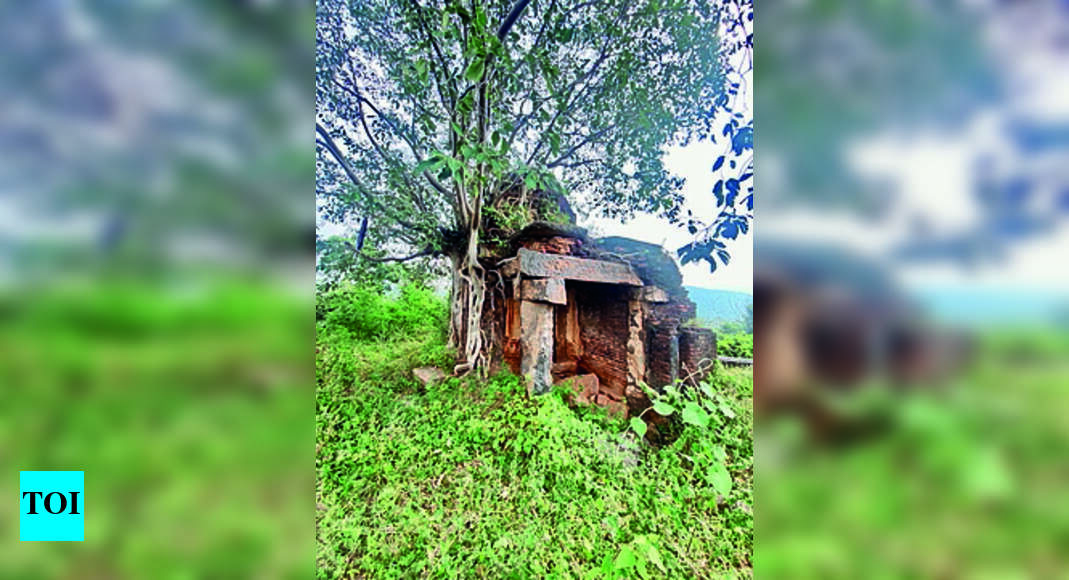 Vijayawada: Peepal Tree Poses Threat To 14th Century Temple ...