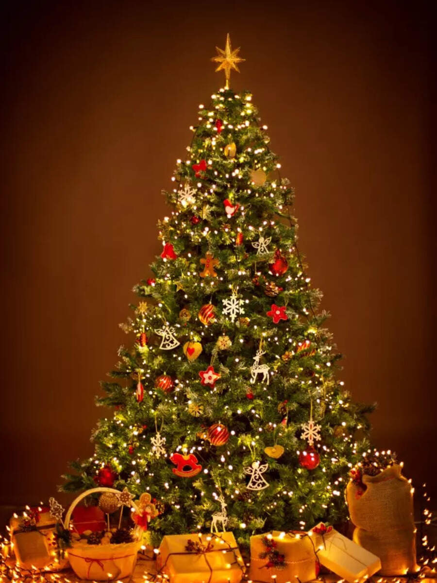 Christmas Tree Ideas and what you must add to the tree | Times Now