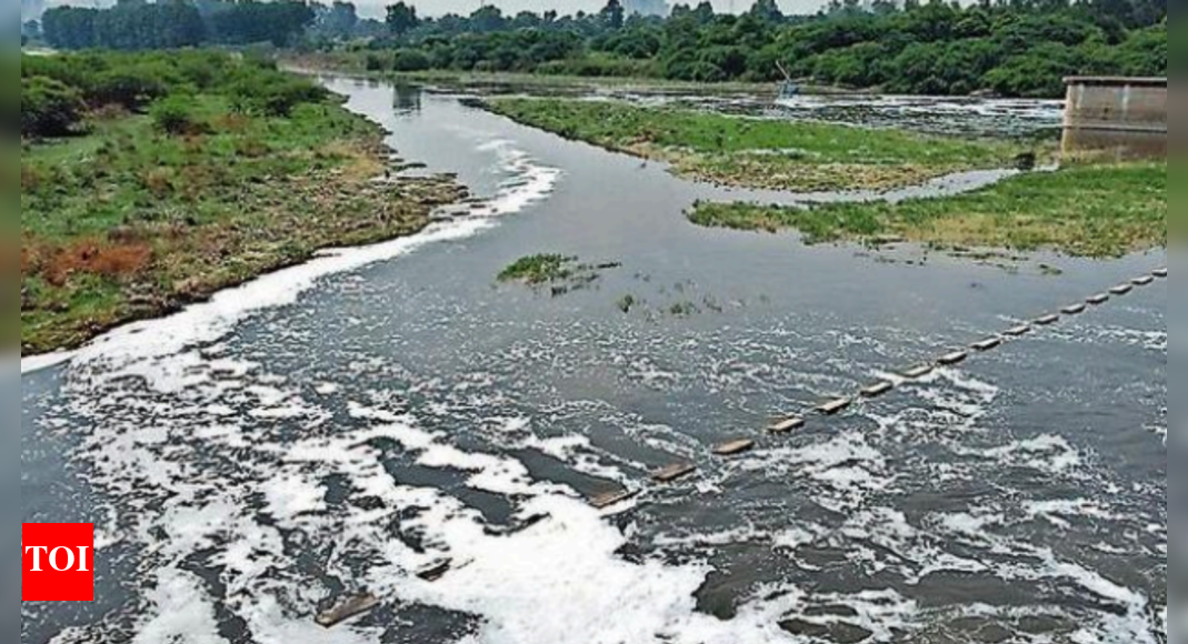 How to clean up polluted Hindon river? Link 10 drains with STPs, report ...