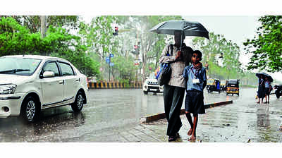 Nashik: Parts Of Nashik City And Dist Receive Unseasonal Rainfall | Nashik News - Times of India