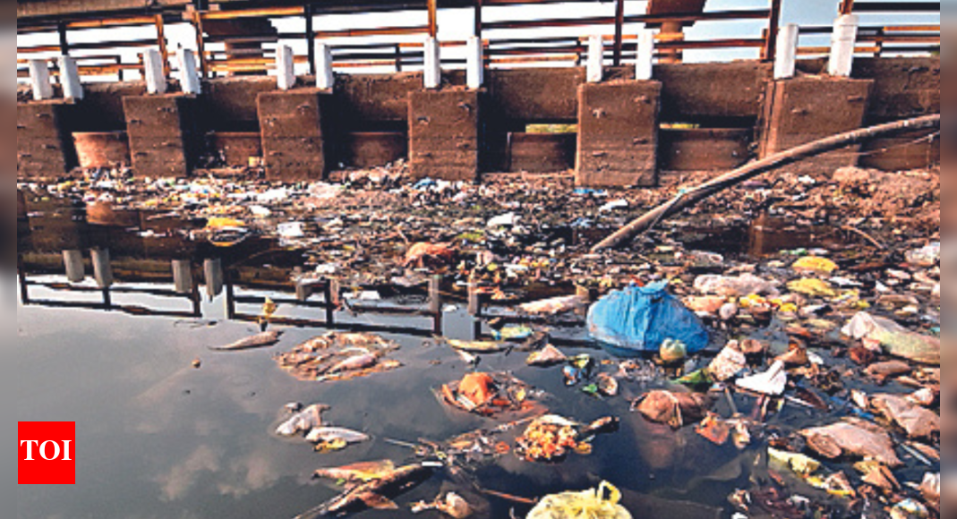 Kolhapur: Zp’s River Pollution Mitigation Plan Pegged At ₹206 Crore ...