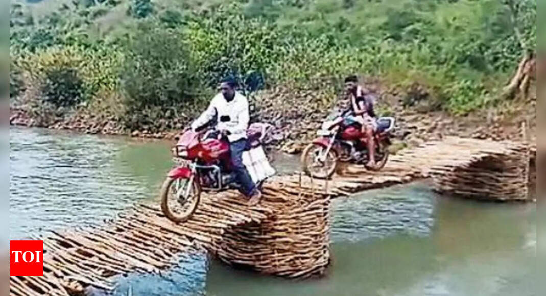 Rayagada villager builds wooden bridge over river in three months ...