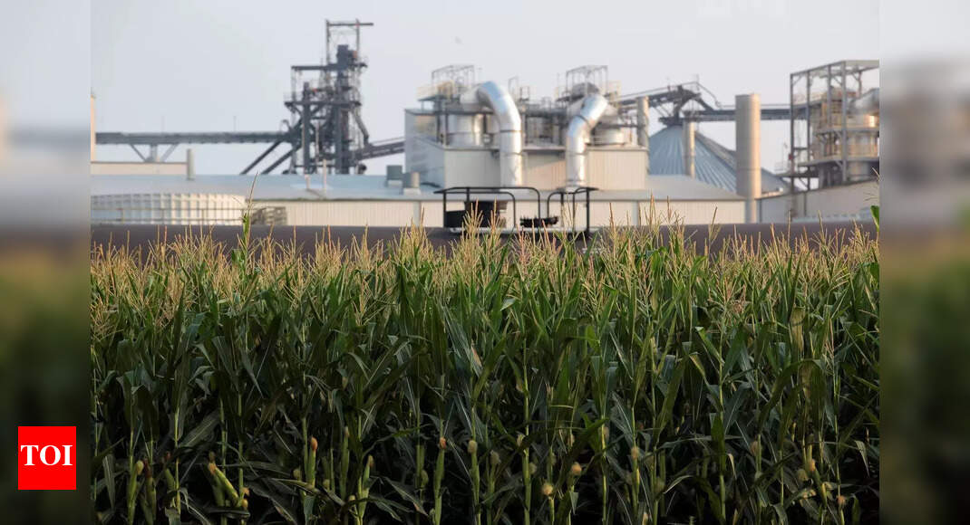 Adding EVs to U.S. biofuels law is environmental agency's 2023 task ...