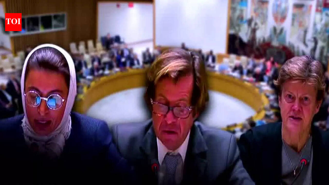 UK, France, UAE support India’s bid for permanent membership at UNSC