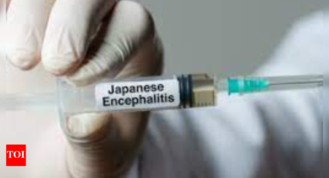 Japanese Encephalitis: Pigs' samples test negative, proof virus 'not ... Japanese Encephalitis: Pigs' samples test negative, proof virus 'not ...