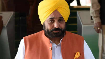 Punjab CM Bhagwant Mann announces toll plaza closure, says more to follow | Chandigarh News ...