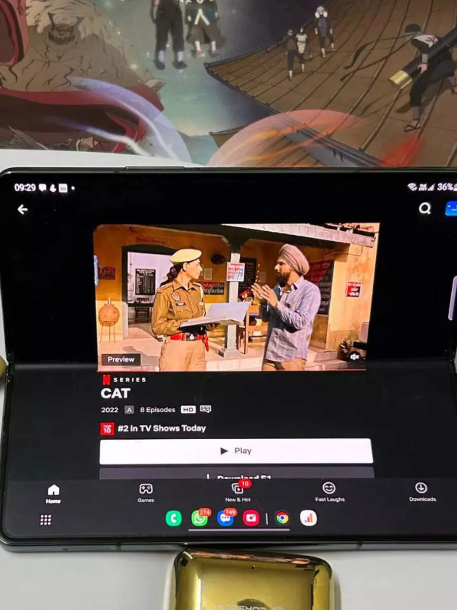 CAT on Netflix. | Times Now