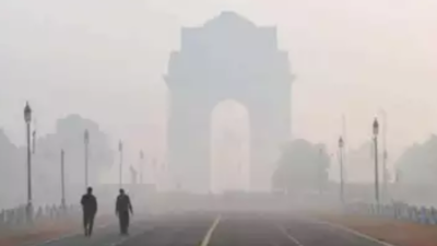 Minimum temperature in Delhi settles at 6 degree Celsius | Delhi News - Times of India