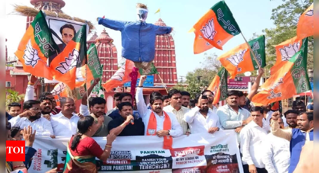 BJP protests Pakistan minister Bilawal Bhutto's comment on PM Narendra ...