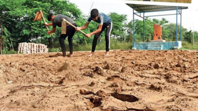 Wrestlers to bouncers to wrestlers: A 'kushti' tradition, overpowered ...