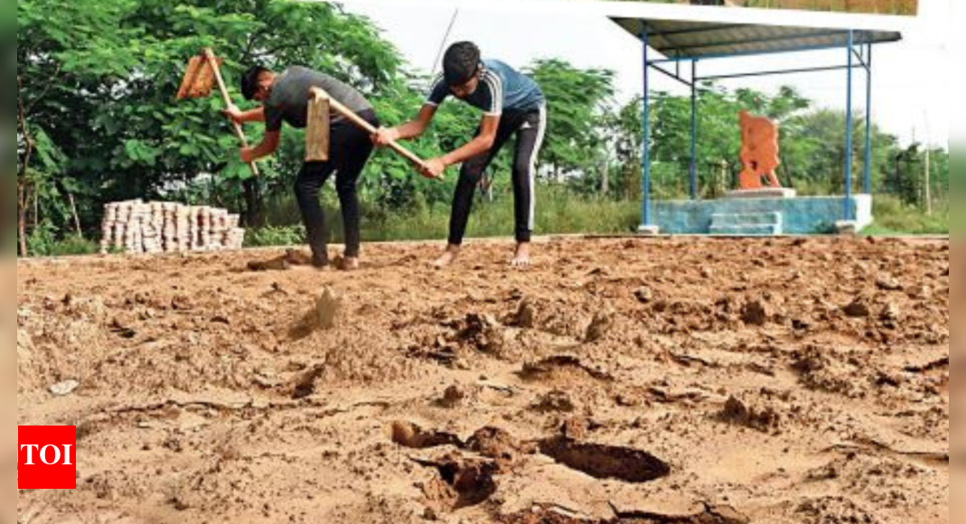 Wrestlers to bouncers to wrestlers: A 'kushti' tradition, overpowered ...