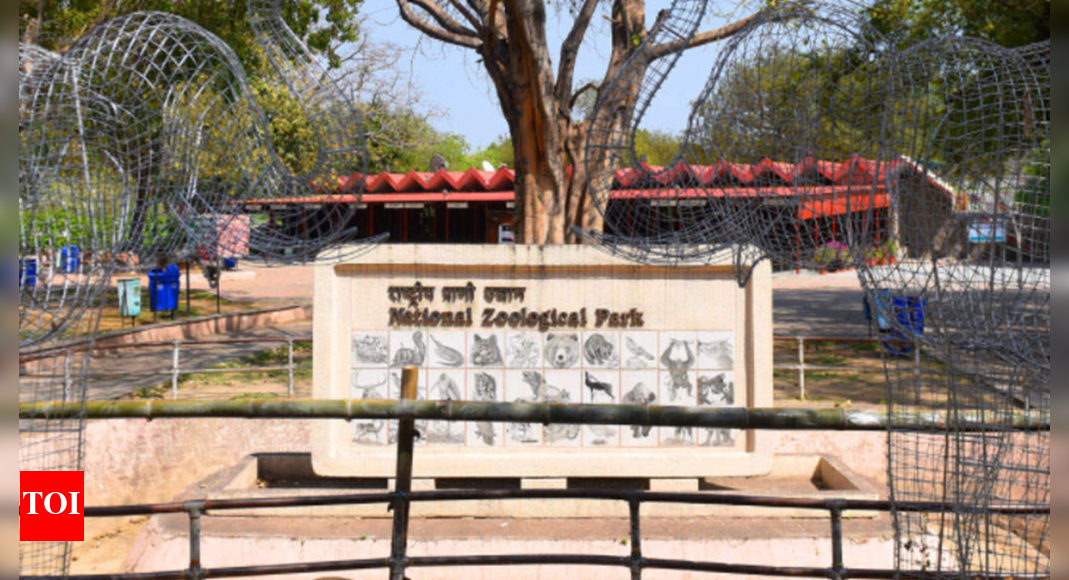 For genetic variety, Delhi zoo plans exchange of animals | Delhi News ...