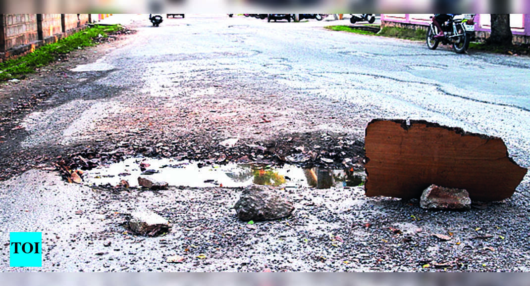 Hisar: Hisar Man Leads Global Road Damage Mapping Project | Chandigarh ...