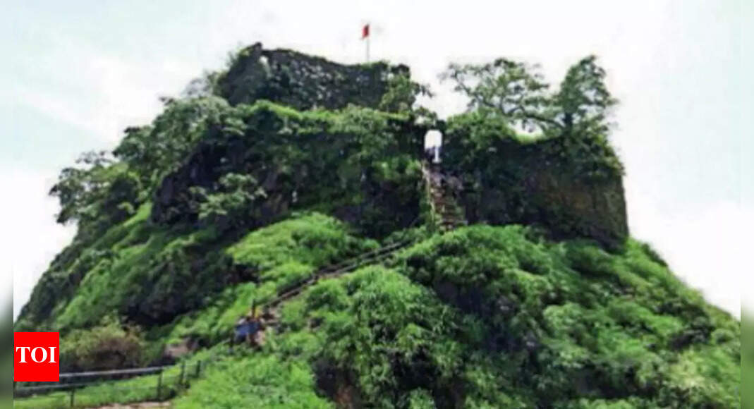 Plan to make MMR a world-class sustainable tourism spot | Mumbai News ...