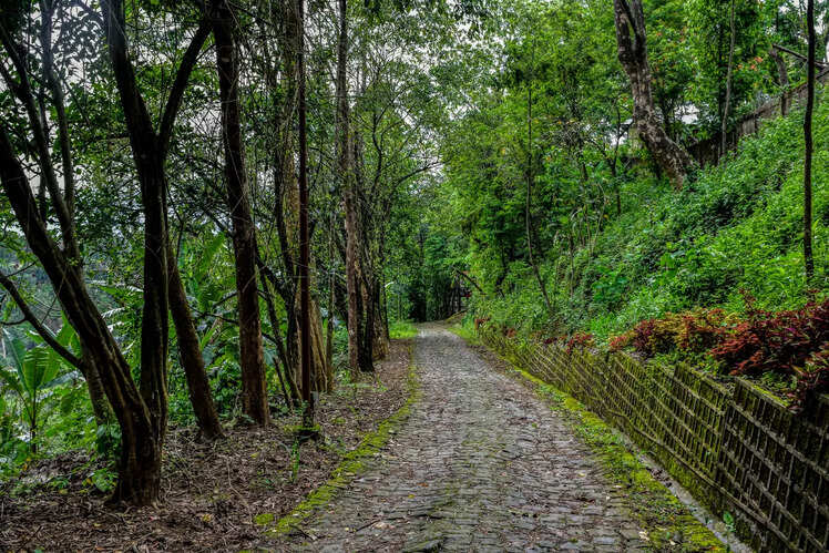 Places you need to visit in Northeast for New Year | Times of India Travel