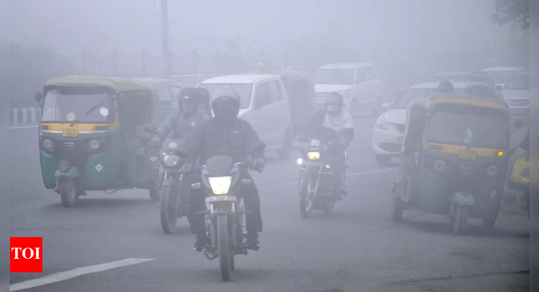 Season's first dense fog hits rail, road traffic in Delhi; IMD issues advisory for 5 days ...
