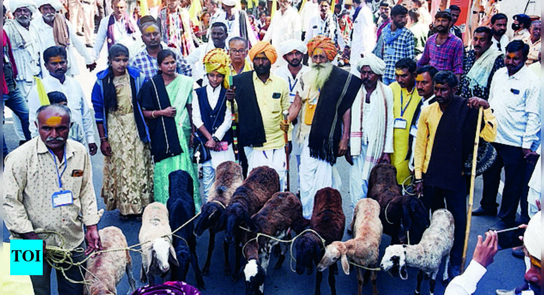 After Quota, Dhangars Want Grazing Rights In Forests | - Times of India