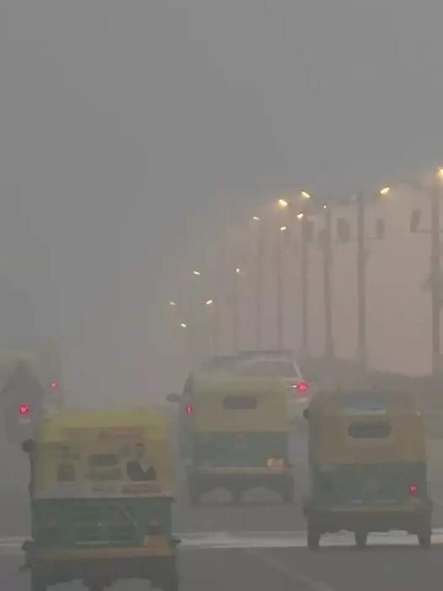 Delhi Winter: NCR wakes up wrapped in dense fog | Times of India