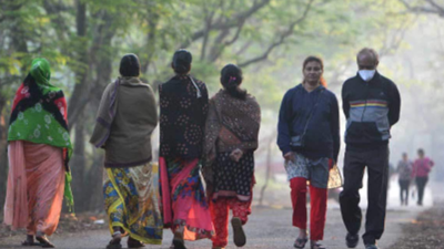 After hot weather, minimum temperature falls in Mumbai | Mumbai News ...