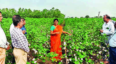 Tnau To Develop Robotics-based Cotton Harvester: Vc | Trichy News ...