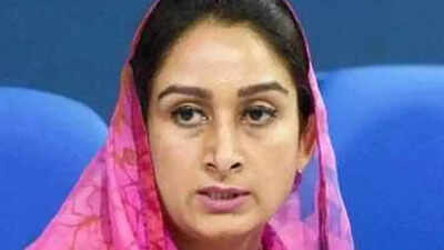 Harsimrat Kaur Badal lashes out at Punjab CM Bhagwant Mann: They are drinking & driving the ...