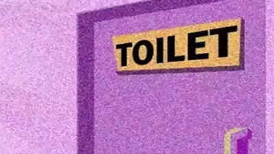 Doorless toilets in Chennai earn public ire | Chennai News - Times of India